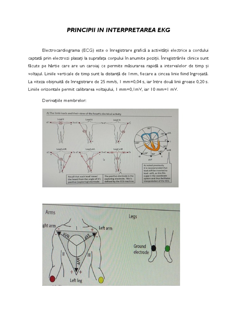 Principii in Interpretarea Ekg | PDF