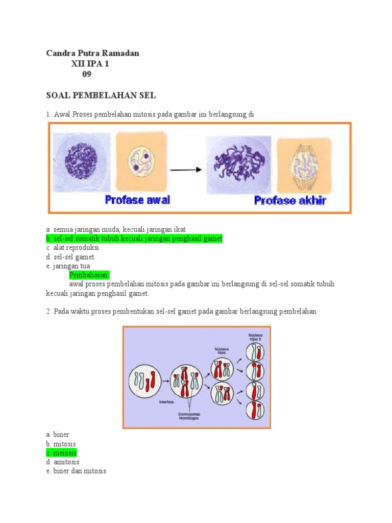 Latihan Soal Pembelahan Sel 2021-2022 | PDF
