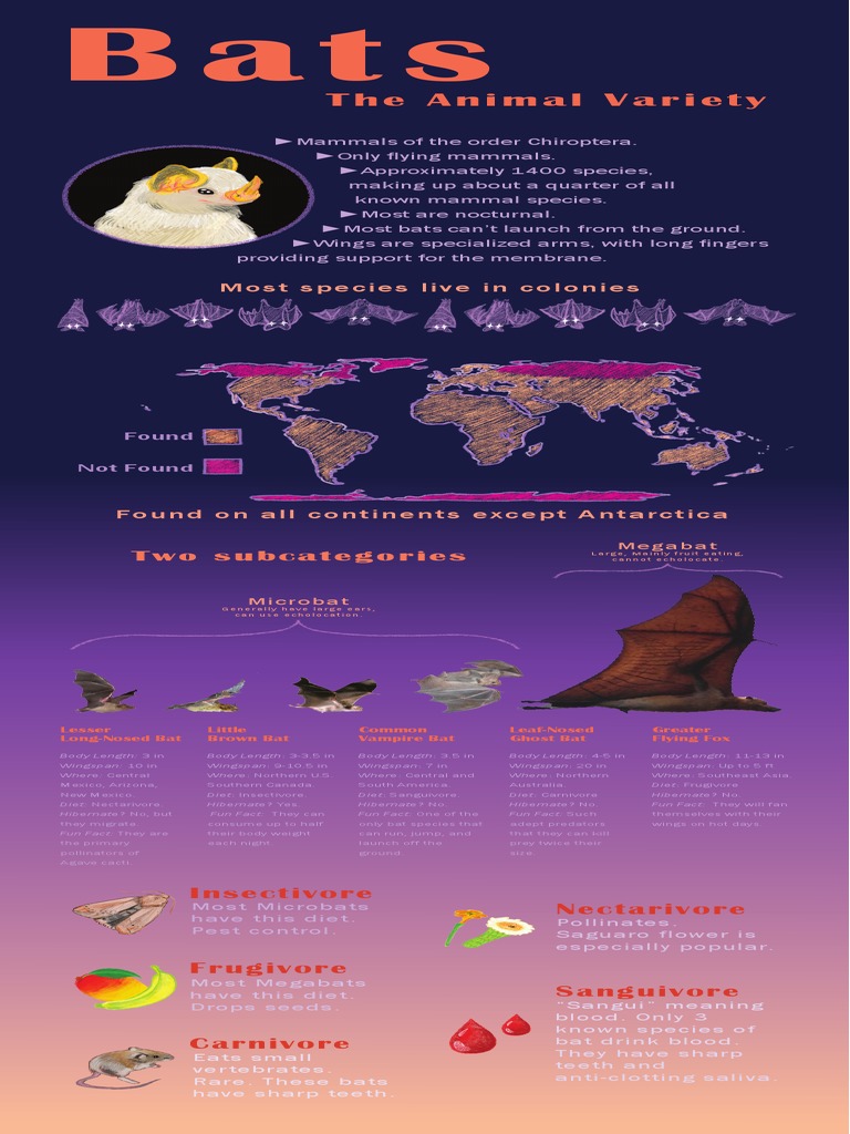 Dobry Bat Infographic Poster | PDF | Bat | Organisms