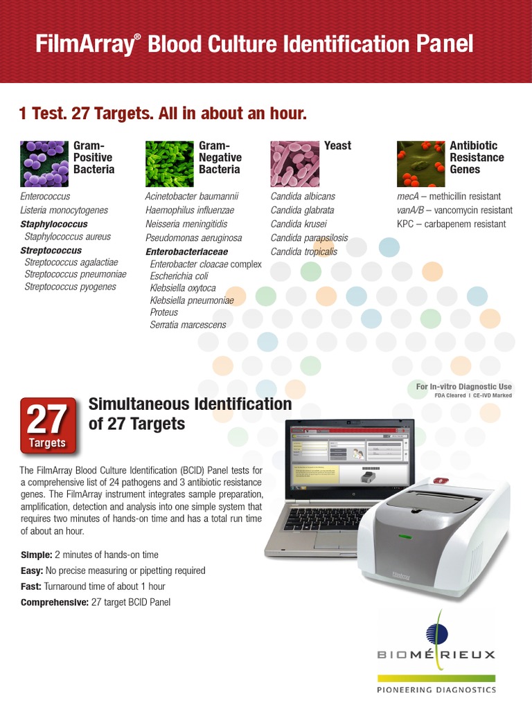 Filmarray Panel: Blood Culture Identification | PDF | Gram Negative ...