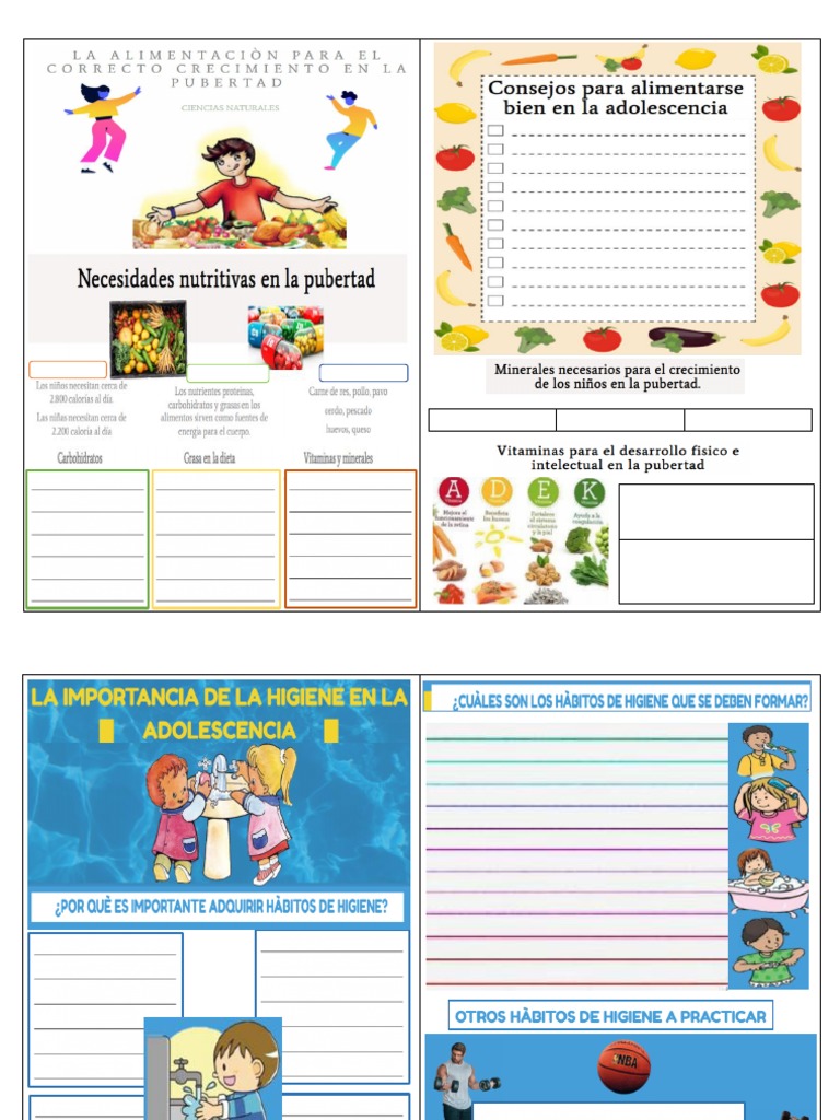 Hojas Guias para CCNN | PDF