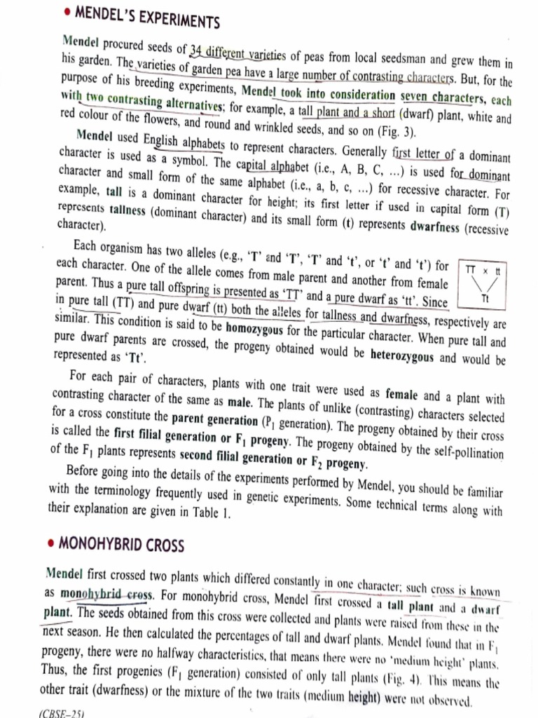 Heredity Notes | PDF | Dominance (Genetics) | Zygosity