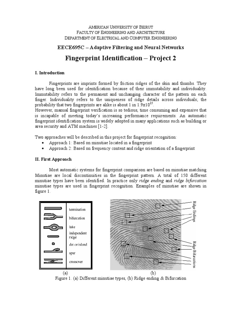 Fingerprint Identification | PDF
