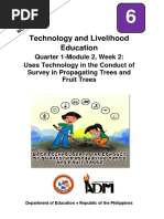 DLP IN TLE6 - Week 1 | PDF | Trees | Soil