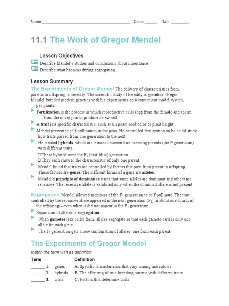 11.1 The Work of Gregor Mendel | PDF | Dominance (Genetics) | Heredity