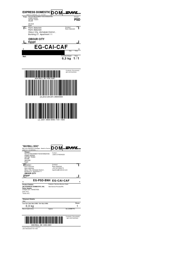 Eg-Cai-Caf: Express Domestic | PDF | Written Communication | Postal System