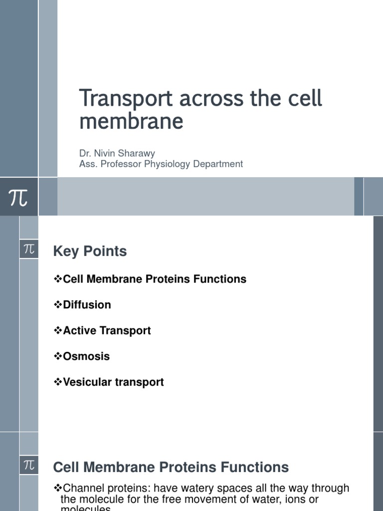 Cell Membrane Transport Mechanisms | PDF | Cell Membrane | Osmosis