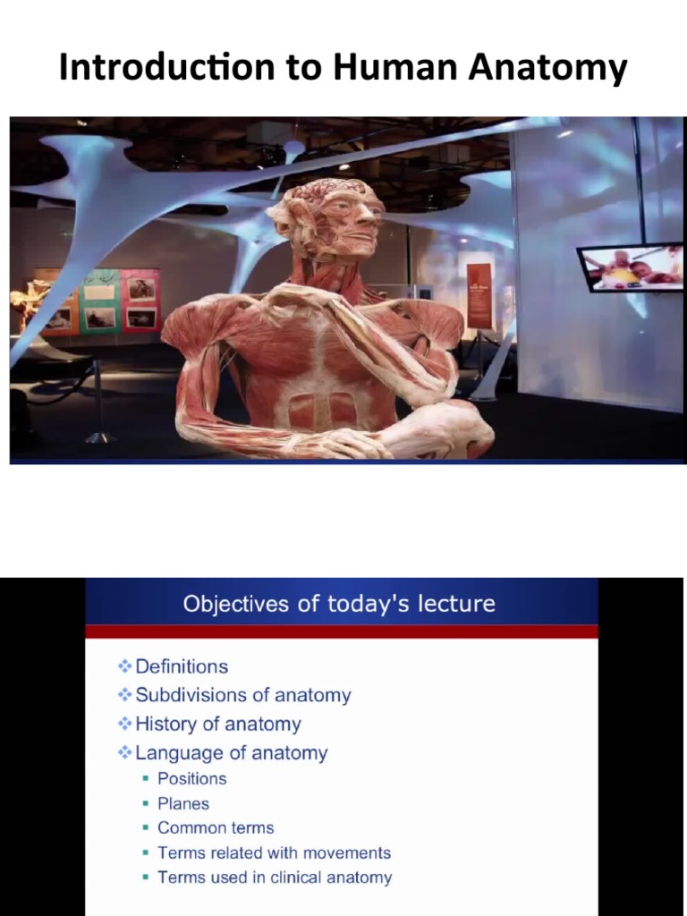 Introduction Anatomy | PDF | Human Body | Anatomy