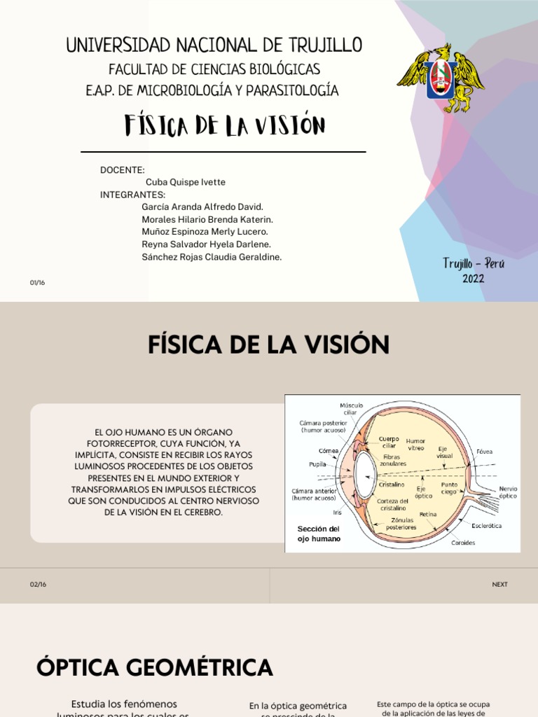 Física de La Visión | PDF | Ojo humano | Ligero