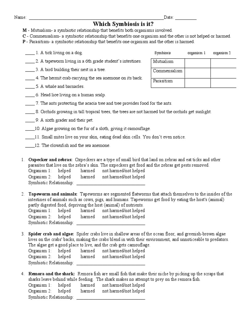 Symbiosis Worksheet | PDF | Symbiosis | Organisms