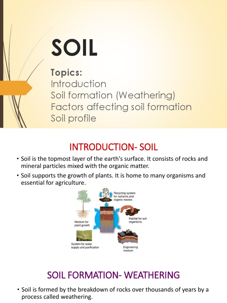 Topics:: Soil Formation (Weathering) Factors Affecting Soil Formation ...