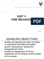 Fire Pattern Identification & Analysis | PDF | Fires | Plastic