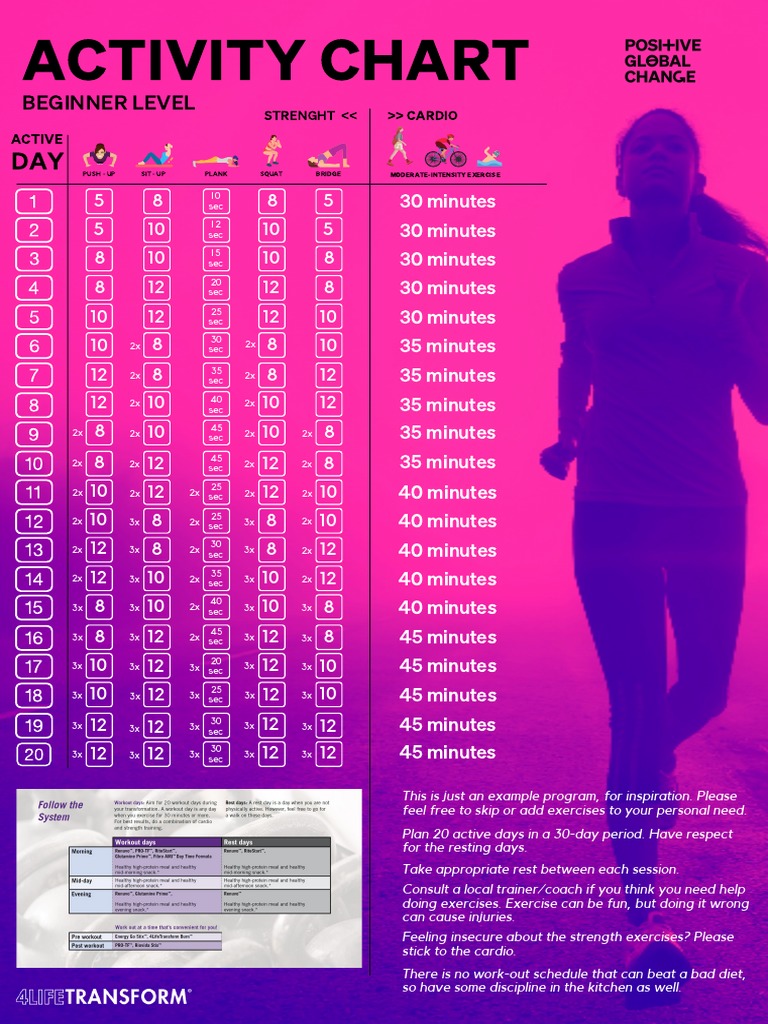 Exercise Chart - Beginner Lever (En, GE, ES, PRT) | PDF | Physical ...