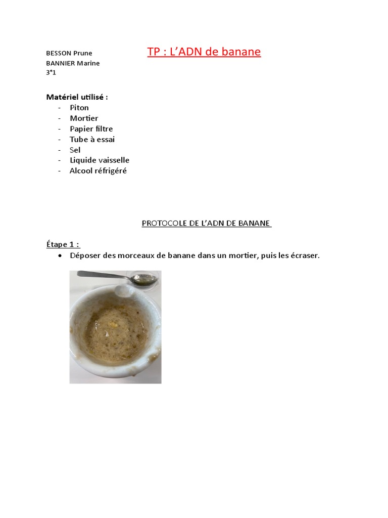 TP Banane | PDF