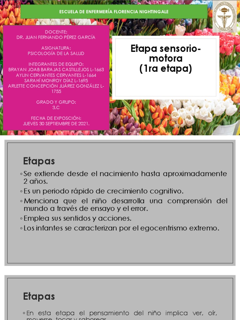 Exposición 1ra Etapa Sensorio-Motora | PDF | Infantes | Cognición