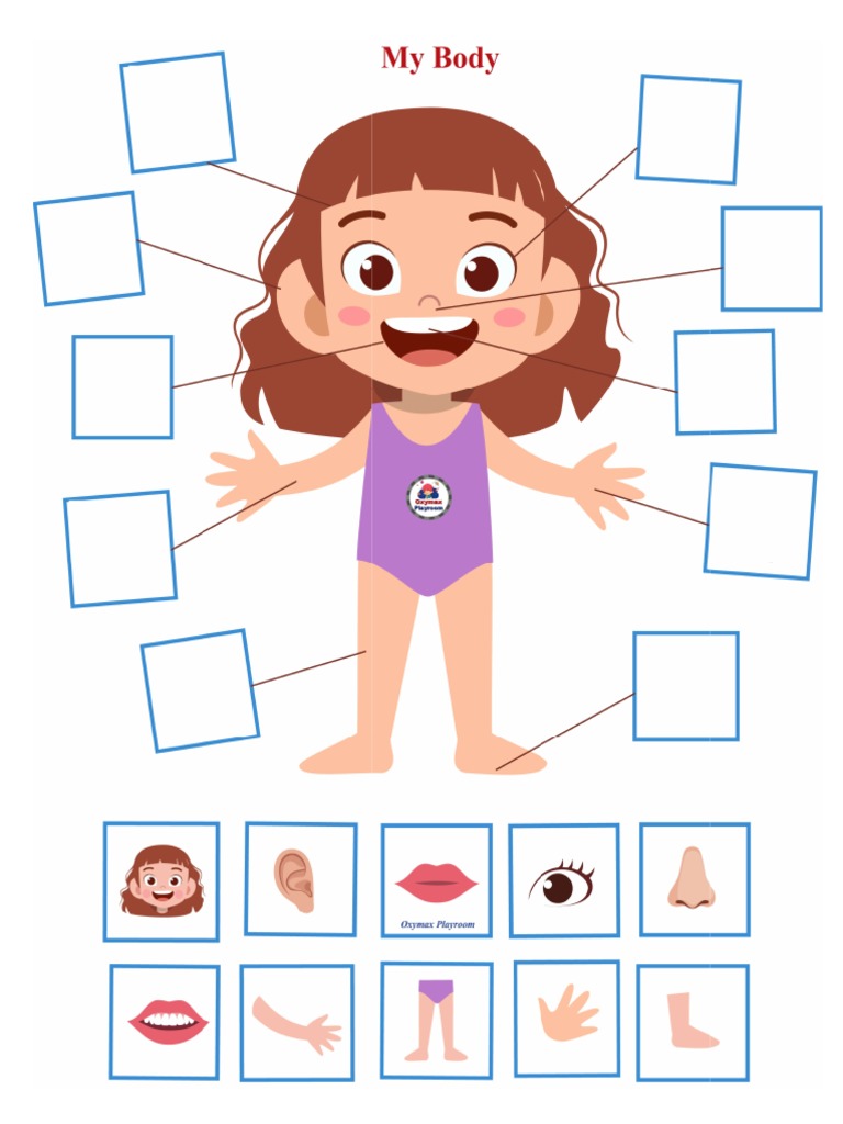 Body 2 | PDF