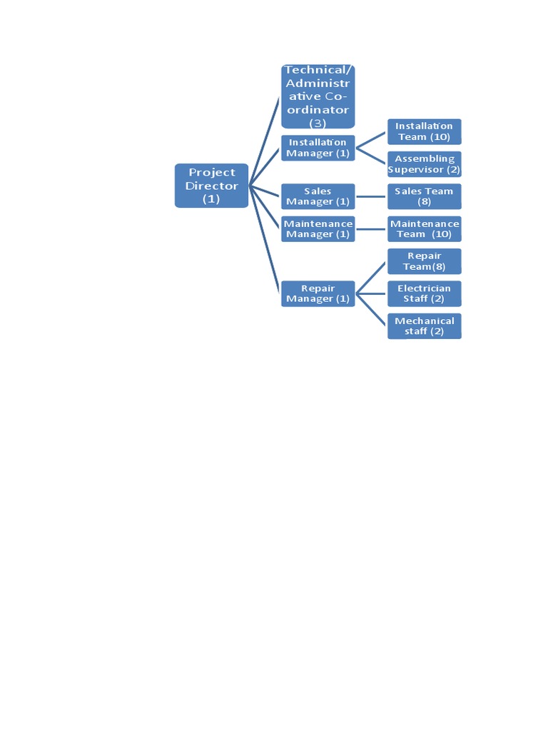 Project Team Structure Overview | PDF