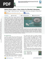 Salol Experiment | PDF | Igneous Rock | Magma