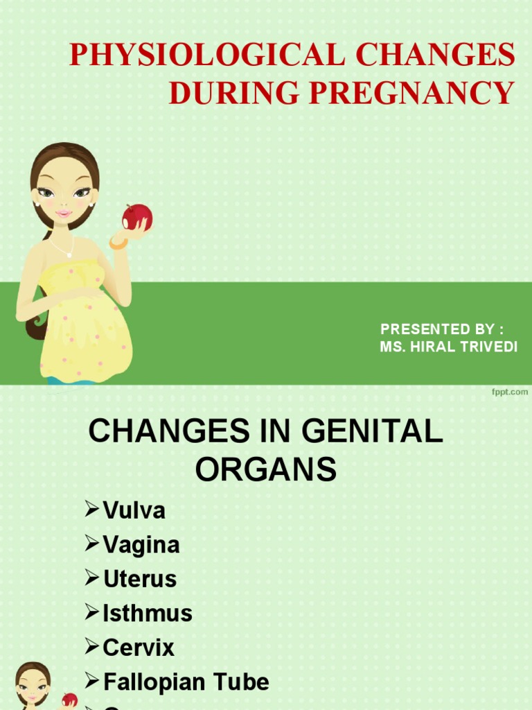 Physiological Changes During Pregnancy | PDF | Pregnancy | Uterus