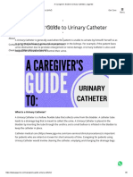 Catheter Flush & Bladder Washout Guide | PDF | Catheter | Urinary Bladder