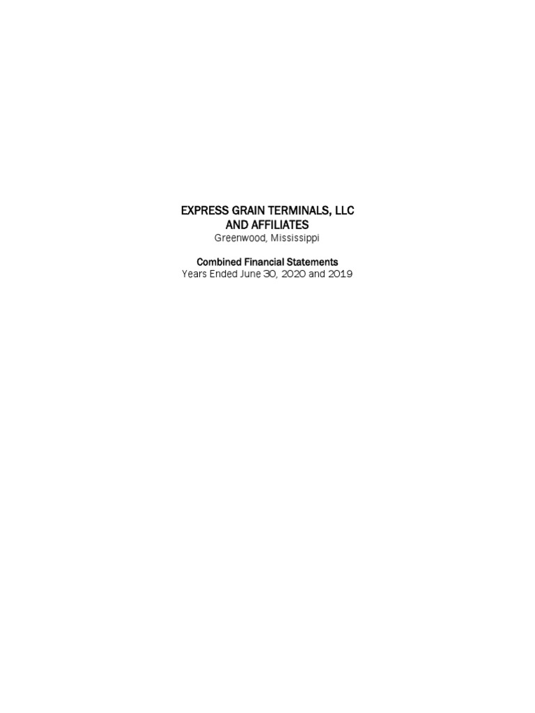 Express Financial Statement 2020 State Version | PDF | Financial Audit ...