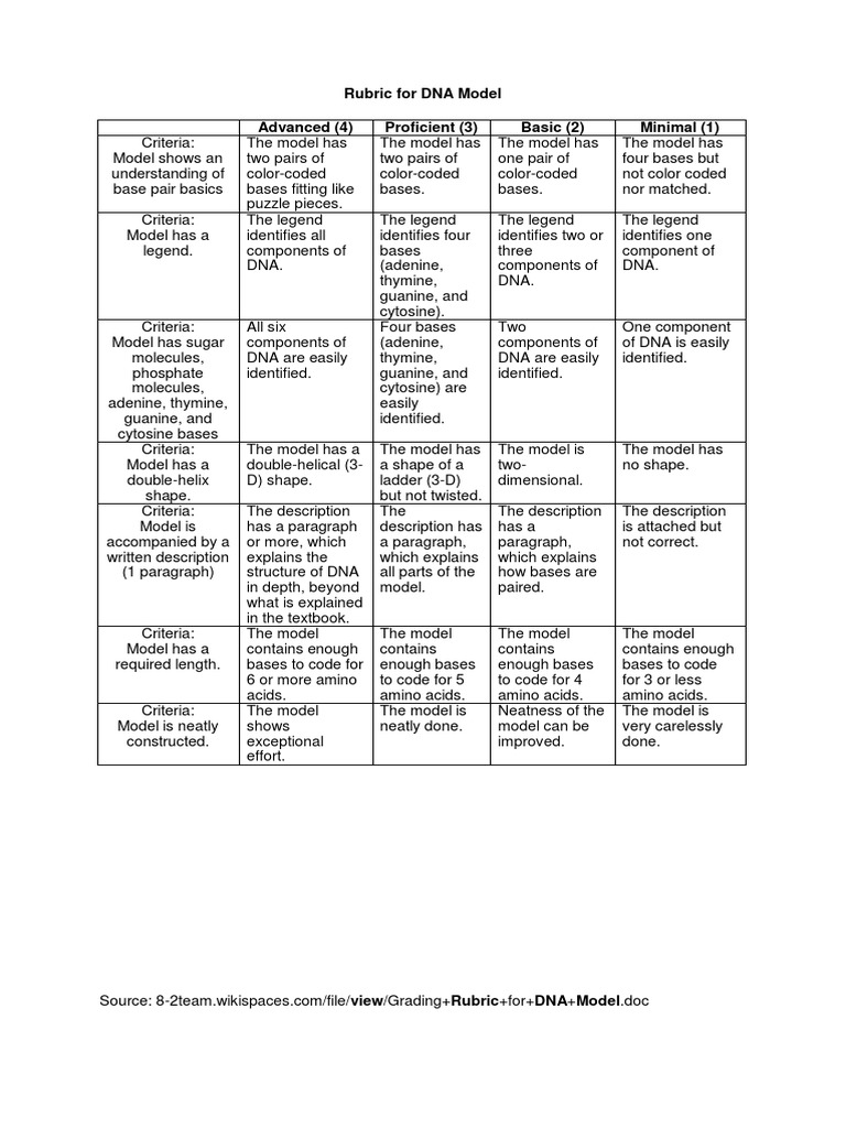 DNA and RNA Model Grading Rubric | PDF | Dna | Rna