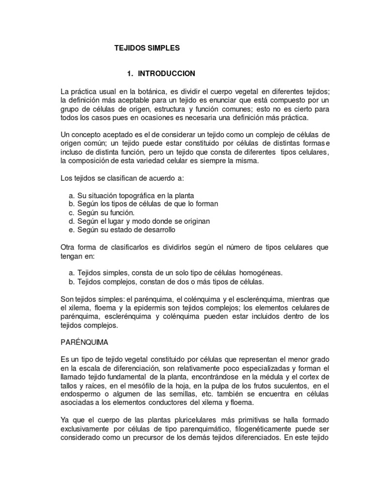 Tejidos Simples | PDF | Tallo de la planta | Tejido (biología)