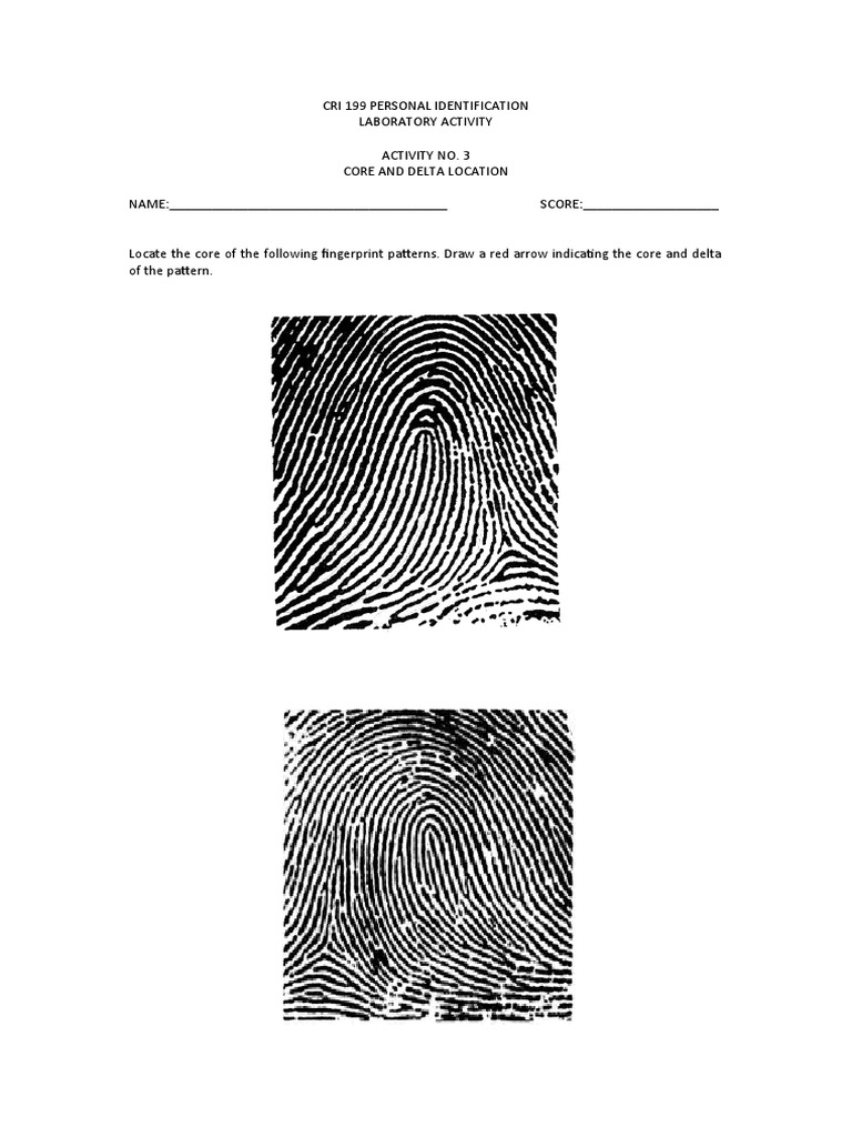 Fingerprint Core and Delta Identification | PDF | Computers