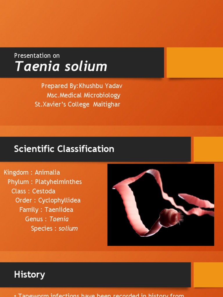 Taenia Solium | PDF | Elisa | Medicine