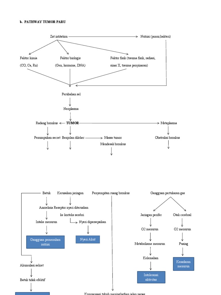 Pathway Patofisiologi Tumor Paru | PDF