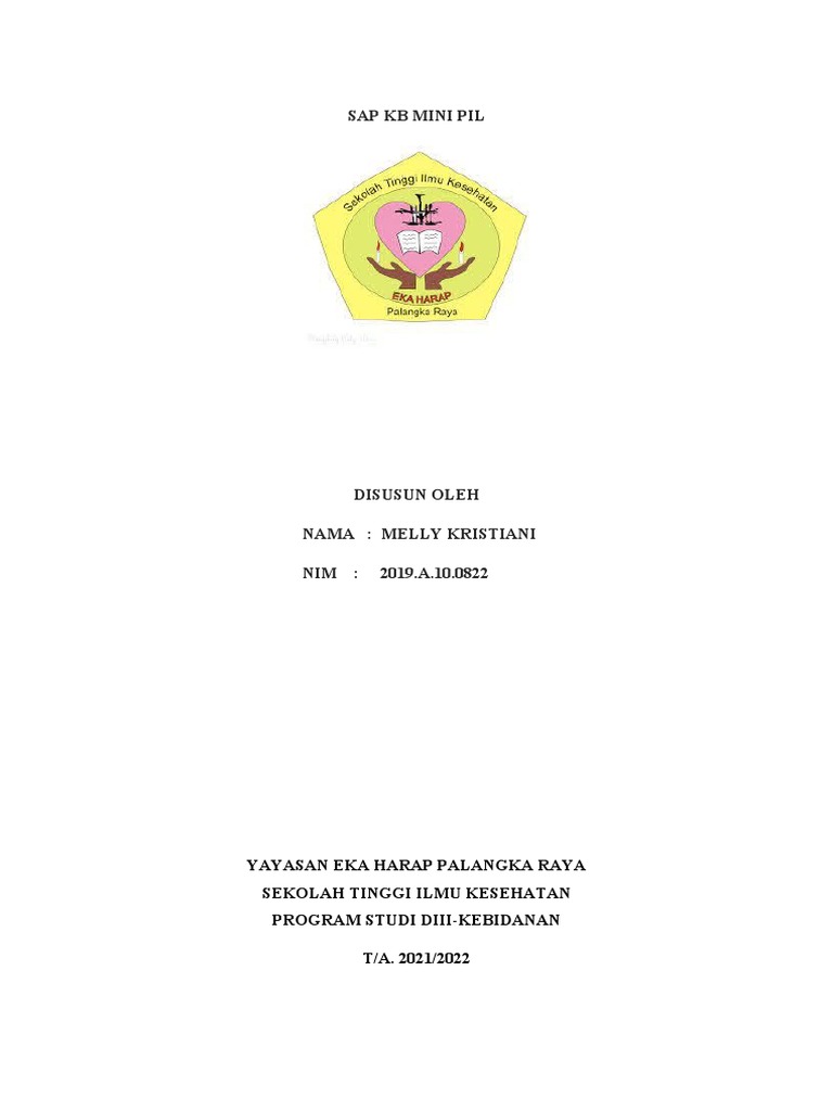 SAP KB Mini Pil | PDF