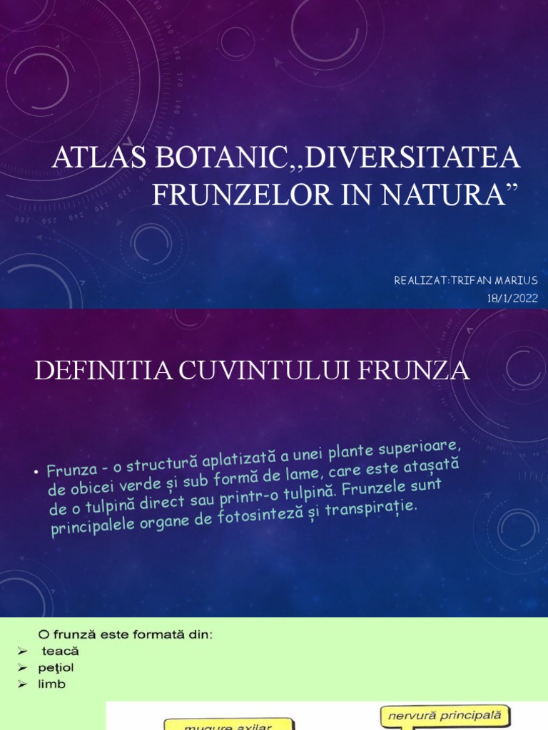 Atlas Botanic,,Diversitatea Frunzelor in Natura'' | PDF