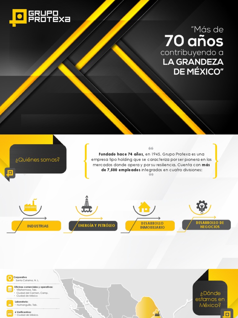 Grupo Protexa | PDF | México | Petróleo