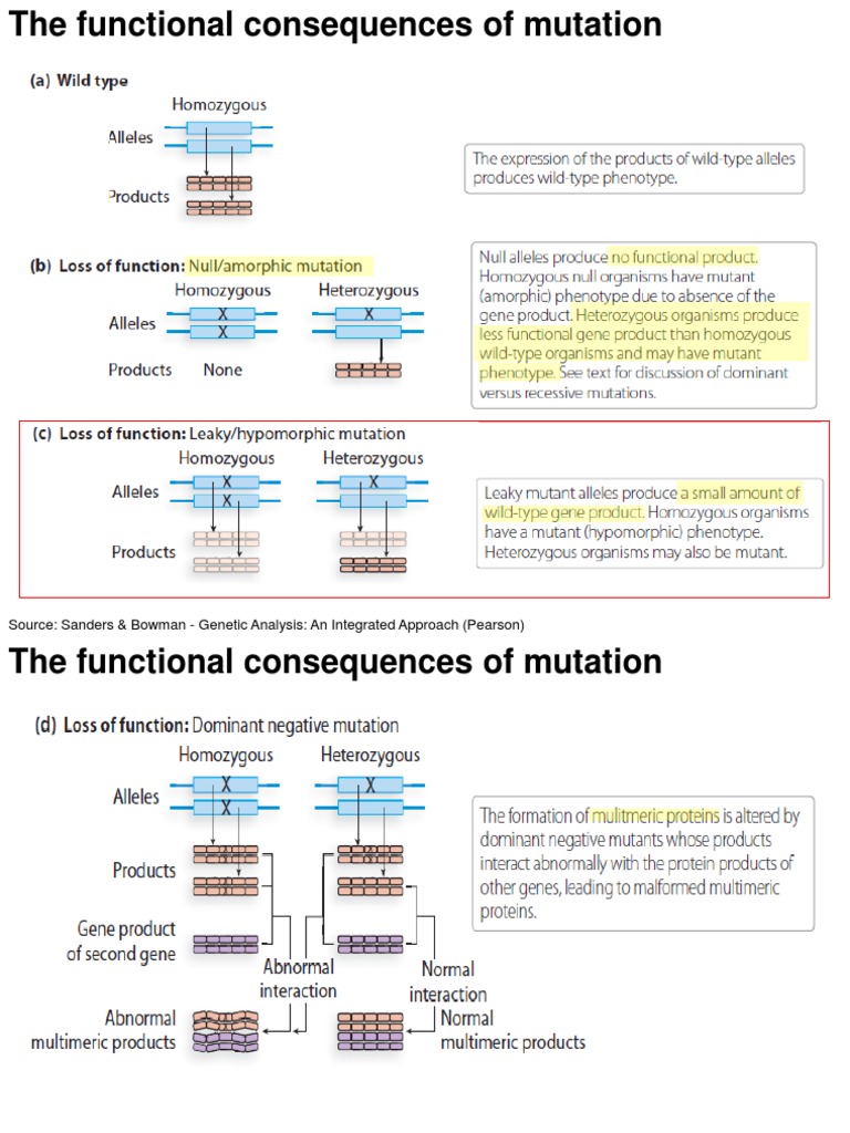 2 Variations To Mendelian Genetics - Functional Consequences of ...