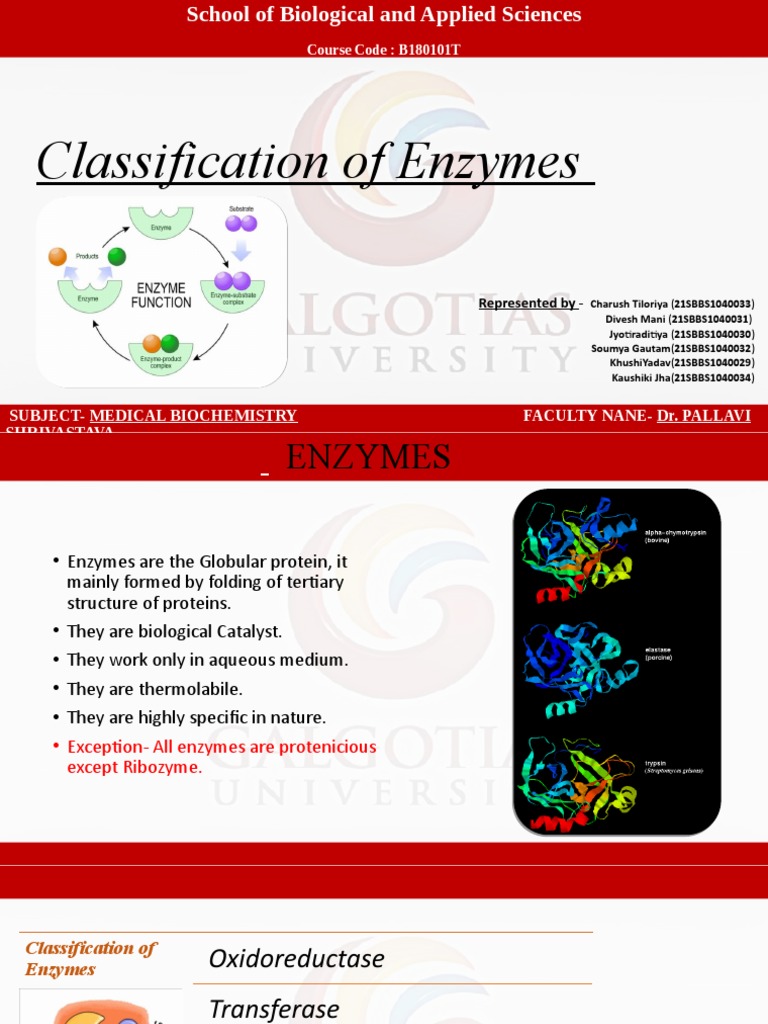 Classification of Enzymes | PDF | Chemistry | Biomolecules