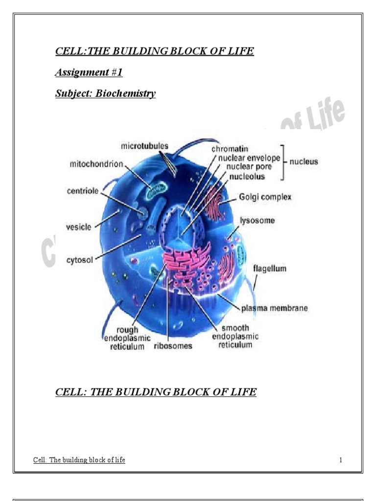 Cell:The Building Block of Life Assignment #1 Subject: Biochemistry ...