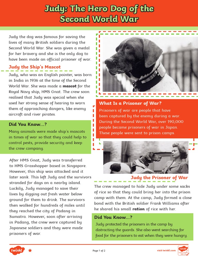 Judy the Hero Dog: Awarded the PDSA Dickin Medal for Her Bravery and ...