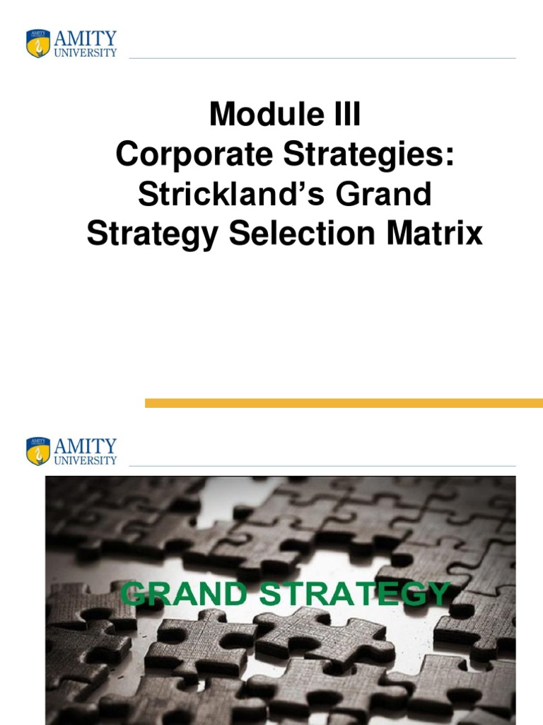 Corporate Strategies Stricklands Grand Strategy Selection Matrix | PDF