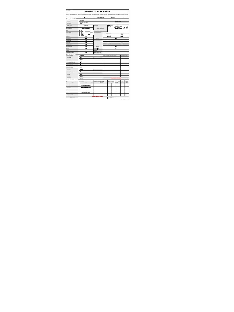 Personal Data Sheet Template | PDF | Government | Justice