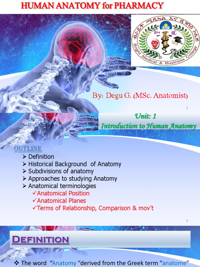 Chapter 1 Introduction To Anatomy-1 | PDF | Anatomical Terms Of Motion ...