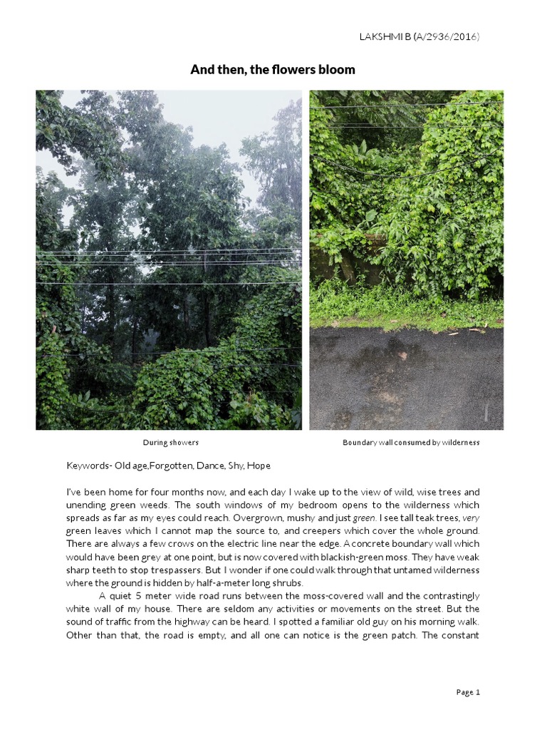 Interpretation of Your Immediate Observable Environment | PDF