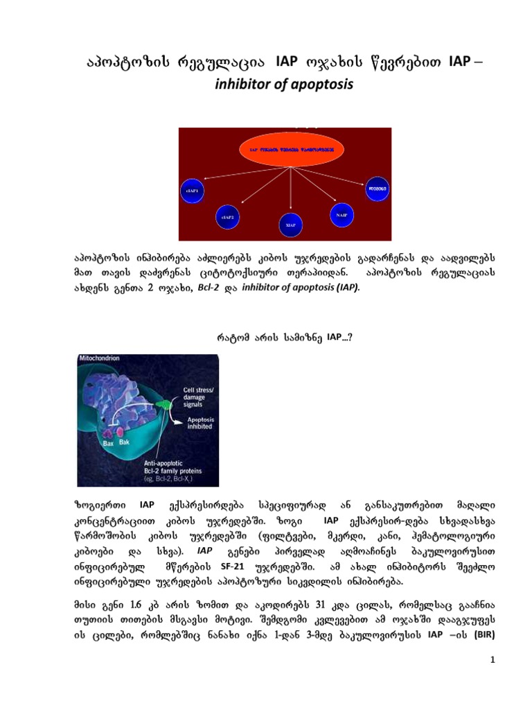 Regulation of Apoptosis by Inhibitor of Apoptosis Proteins (IAPs ...
