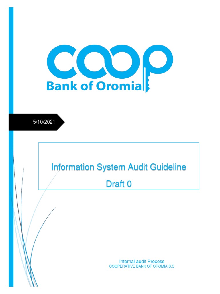 Information System Audit Guidelines | PDF | Audit | Internal Audit