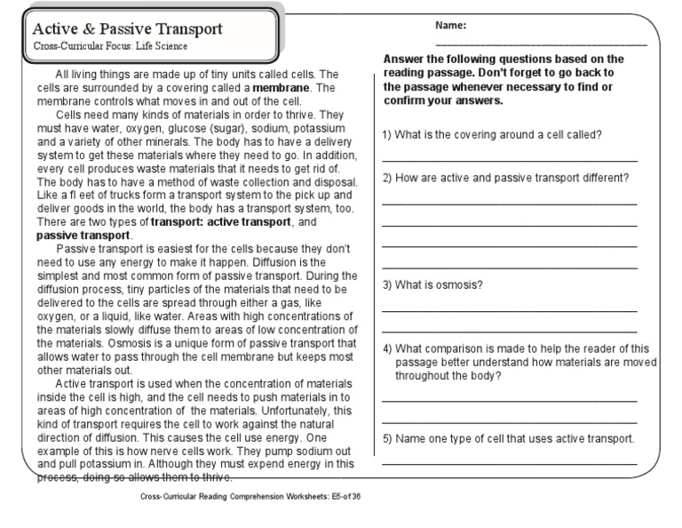 Gr5 Wk5 Active Passive Transport | PDF | Chemistry | Biochemistry