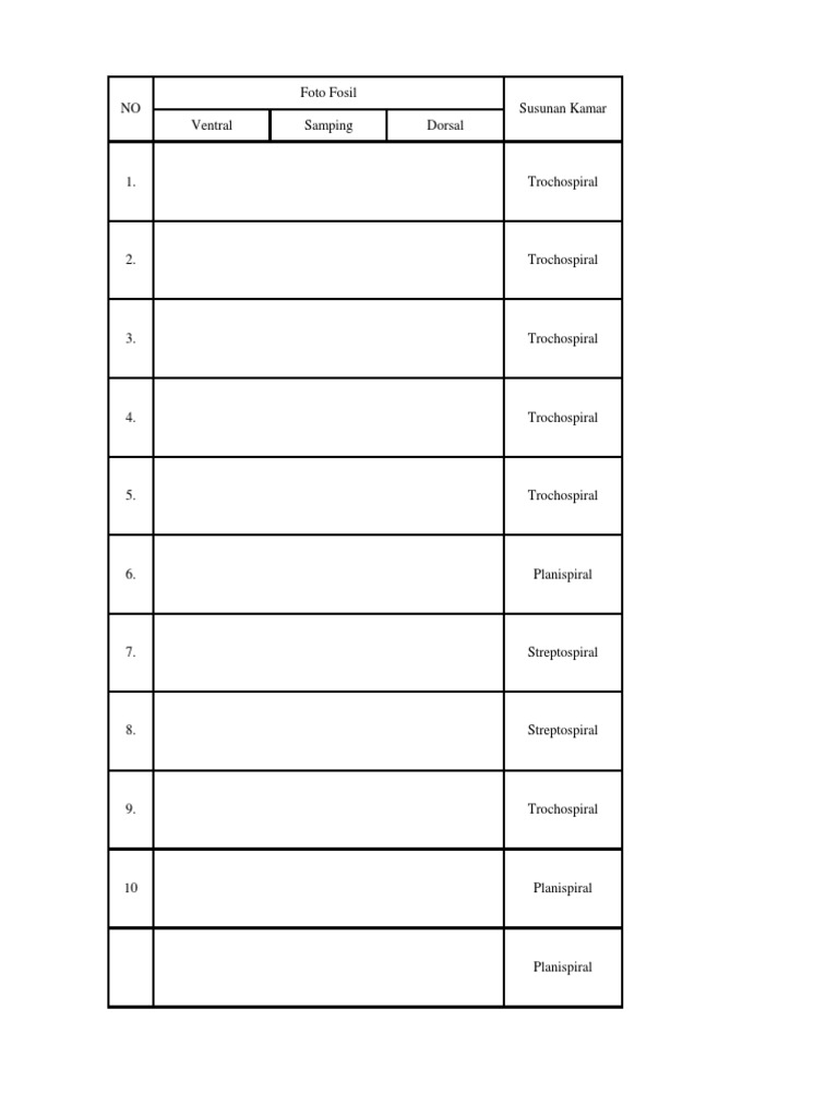 Tabel Deskrip Bagas | PDF | Molluscs