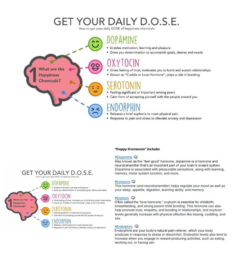 "Happy Hormones" Include | PDF | Self-Improvement