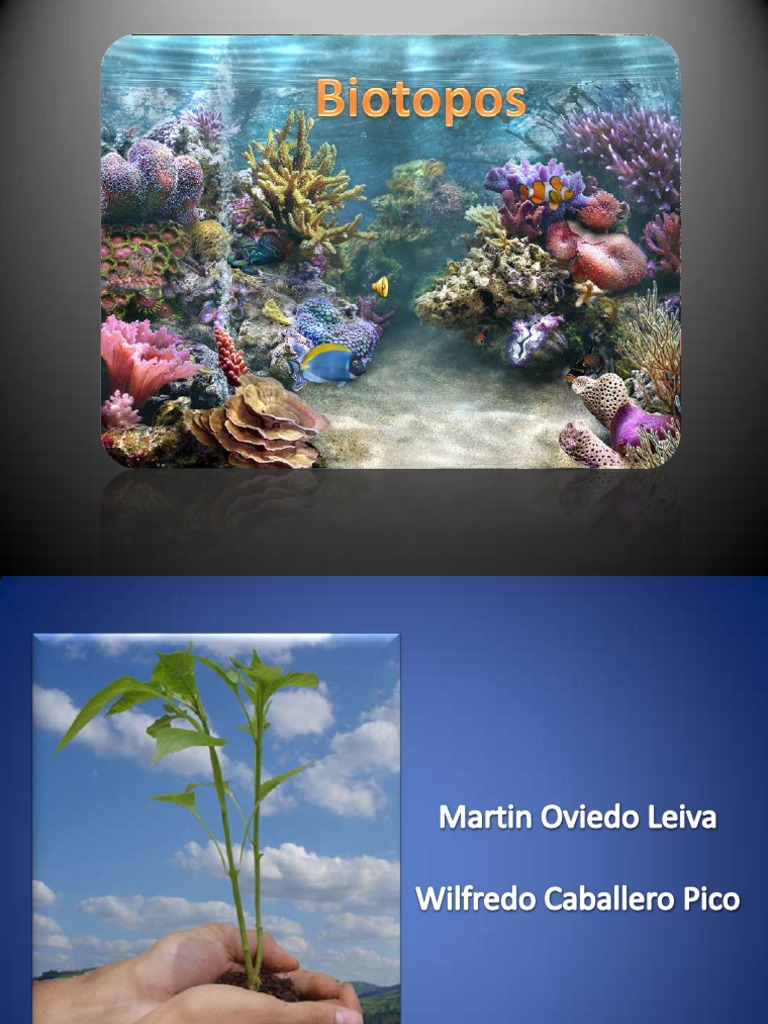 Factores del Biotopo y Adaptaciones | PDF | Ecosistema | Suelo