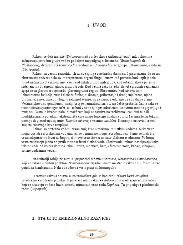 Sem - Rad.todorovic Marija | PDF