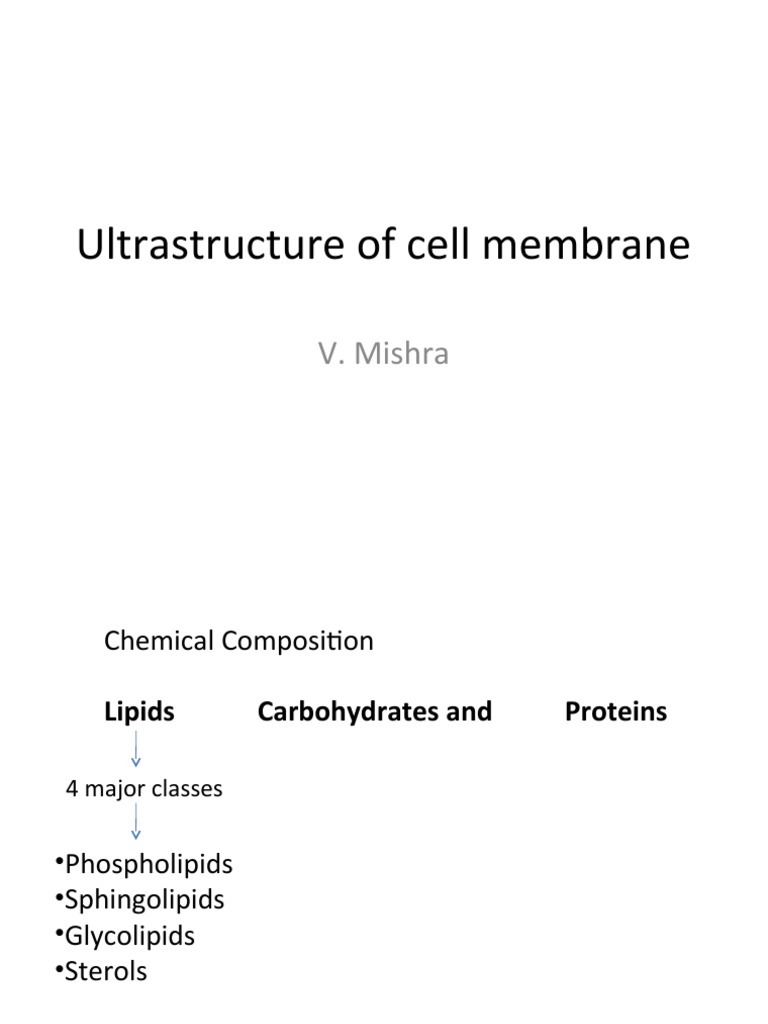 Ultrastructure of Cell Membrane VM | PDF | Cell Membrane | Structural ...
