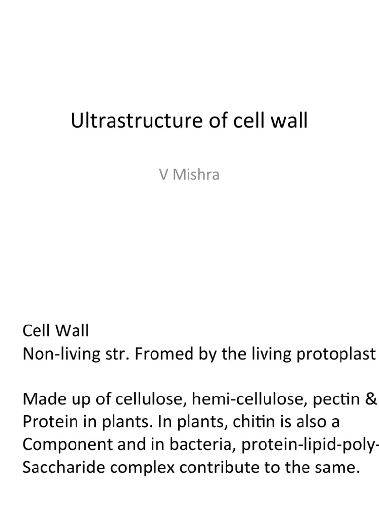 Ultrastructure of Cell Wall | PDF | Cell Wall | Enzyme